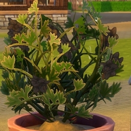Dinahong Leaves by Pied Piper Spanish translation - Files - The Sims 4 ...