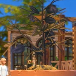 Ginger by Pied Piper Spanish translation - Files - The Sims 4 Mods ...