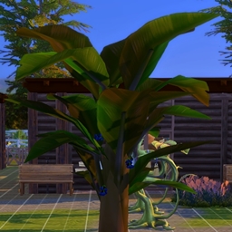 Acai Berries by Pied Piper Spanish translation - Files - The Sims 4 ...