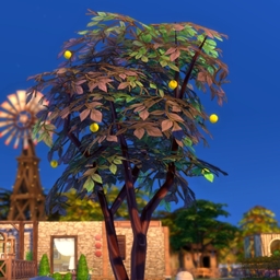 Yellow Plum by Pied Piper Spanish translation - Files - The Sims 4 Mods ...