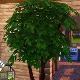 Passion Fruit by Pied Piper Spanish translation - Gallery - The Sims 4 ...