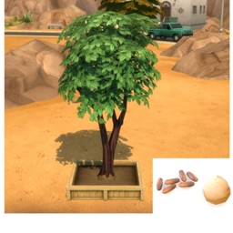 Barú Nut by Pied Piper Spanish translation - Files - The Sims 4 Mods ...