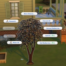 Mulberry (harvestable) by Pied Piper Spanish translation - Files - The ...