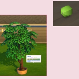 Lima (Harvestable)by Pied Piper Spanish translation - Files - The Sims ...