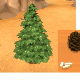 Pinion (harvestable)by Pied Piper Spanish translation - The Sims 4 ...