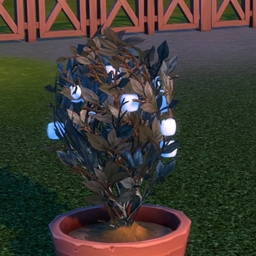 Harvestable Cotton by Pied Piper Spanish translation - The Sims 4 ...
