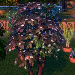 Harvestable Almond by Pied Piper Spanish translation - The Sims 4 ...