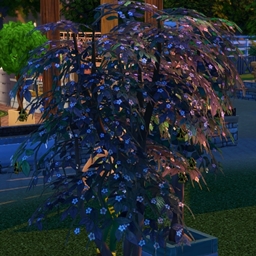Harvestable Argan by Pied Piper Spanish translation - Files - The Sims ...