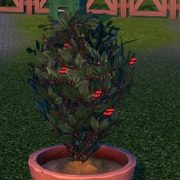 Harvestable Mocha Java Coffee Harvestable Harvestable by Pied Piper ...