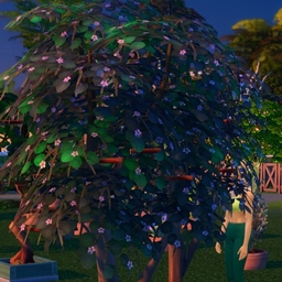 Install Harvestable Cinnamon by Pied Piper Spanish translation - The ...