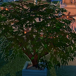Install Harvestable Sandalwood by Pied Piper Spanish translation - The ...