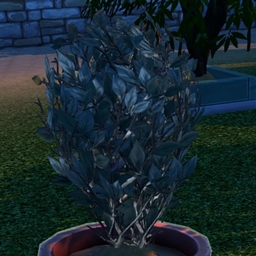 Harvestable Vanilla by Pied Piper Spanish translation - The Sims 4 ...