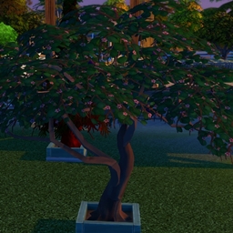 Download Fig Tree by Pied Piper update Spanish translation - The Sims 4 ...