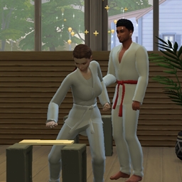 Download Martial arts mod by Mercuryfoam Spanish translation - The Sims ...