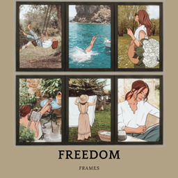 FREEDOM FRAMES - Files - The Sims 4 Build / Buy - CurseForge