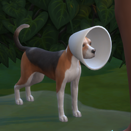 Treat Sick Pet At Home - The Sims 4 Mods - CurseForge