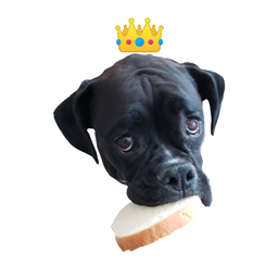 PennyCraft - Minecraft Modpacks - CurseForge