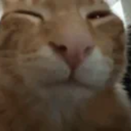 Buh's emote pack - World of Warcraft Addons - CurseForge