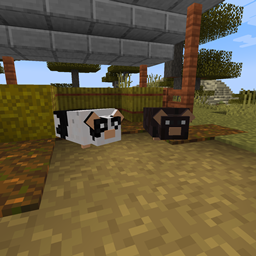 Guinea Pigs Plus - Minecraft Mods - CurseForge