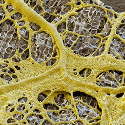 Google craftslink - Minecraft Modpacks - CurseForge