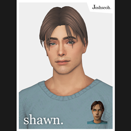Shawn Hair (TS2 to TS4) - The Sims 4 Create a Sim - CurseForge