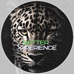 Better X-perience Collection - Minecraft Modpacks - CurseForge