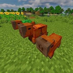 drawing - Minecraft Mods - CurseForge