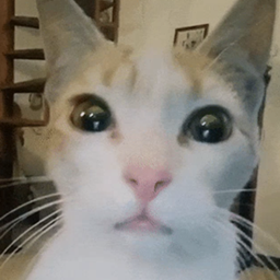 gootcraft - Minecraft Modpacks - CurseForge