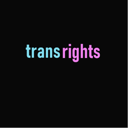 Download Trans Rights Server - Minecraft Mods & Modpacks - CurseForge