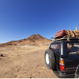 More Paintings +++ mod Egypt edition - Minecraft Mods - CurseForge