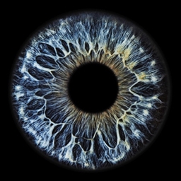 EZS Eyes - Minecraft Mods - CurseForge