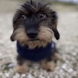 Expanded Adventure SMP - Minecraft Modpacks - CurseForge