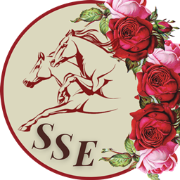 SSE Building Kit - Minecraft Modpacks - CurseForge