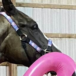 Hope's Happy Place - Minecraft Modpacks - CurseForge