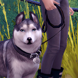 MF - Take the Lead | Leash Default Replacement - The Sims 4 Mods ...