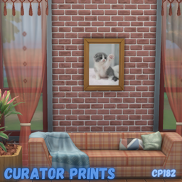 Curator prints CP 182 - The Sims 4 Build / Buy - CurseForge