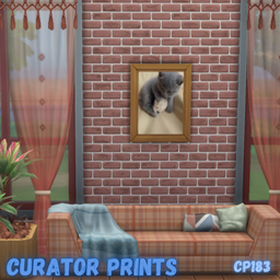 Curator prints CP 183 - The Sims 4 Build / Buy - CurseForge
