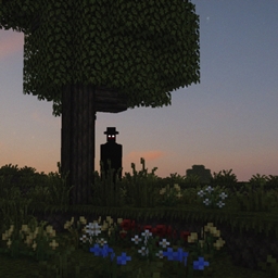 The Man From The Shadow - Minecraft Mods - CurseForge