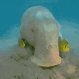 Snorbler Wars - Minecraft Modpacks - CurseForge