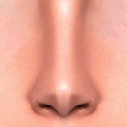 Nose Preset 45 HQ - The Sims 4 Create a Sim - CurseForge