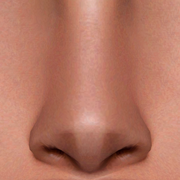 Nose Preset 47 HQ - The Sims 4 Create a Sim - CurseForge