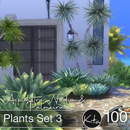[kta] Plants Set 3 - Aspidistra, Nadia & Palmeira - The Sims 4 Build ...